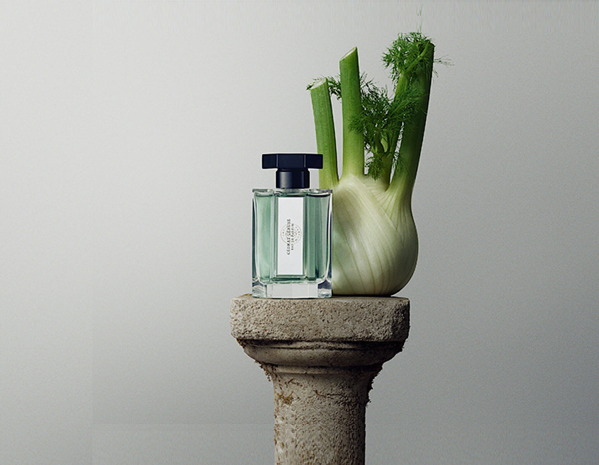 Trends: Vegetable Scented Perfumes : Mixer & Pack